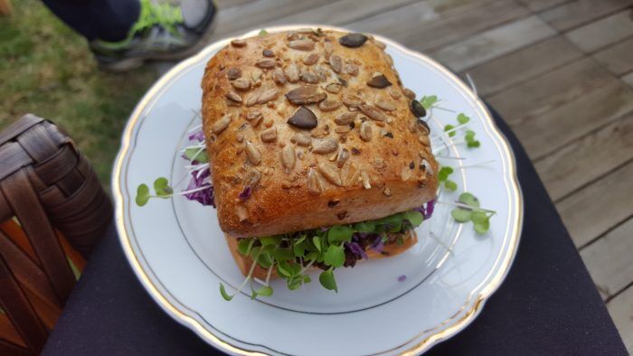 Where To Use Microgreens? The 8 Most Inspiring Ideas - React Green