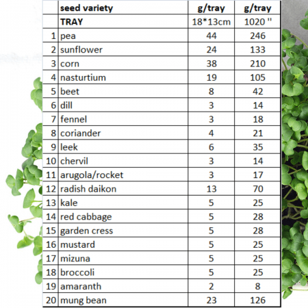 Best Lights For Growing Microgreens – Everything You Need To Know ...